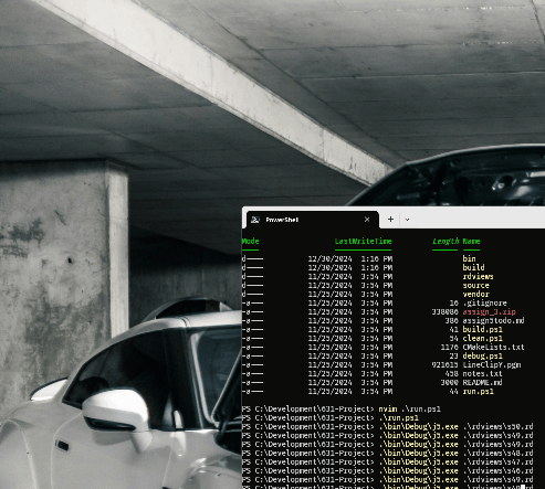 Chris DeJong's Portfolio